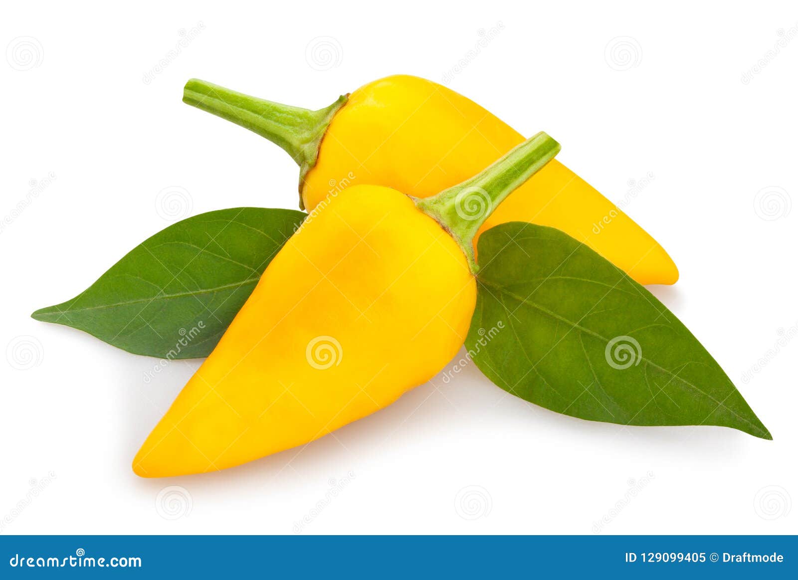 Yellow chilli pepper stock image. Image of closeup, clipping - 129099405