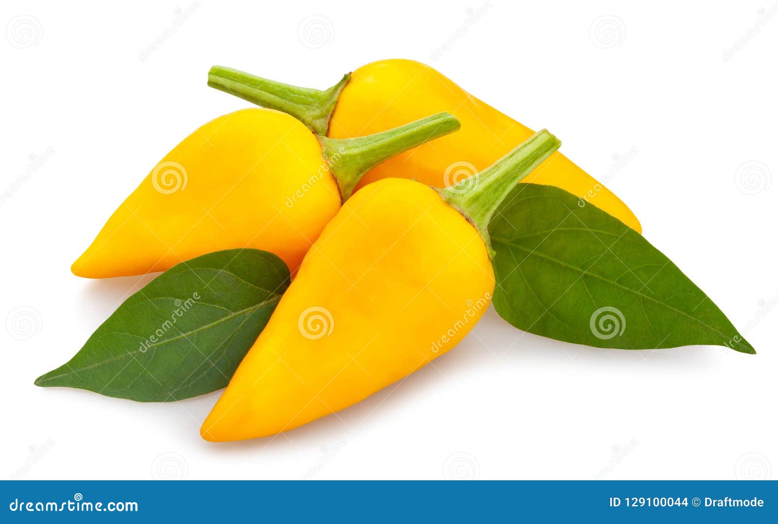 Yellow chilli pepper stock photo. Image of antioxidant - 129100044