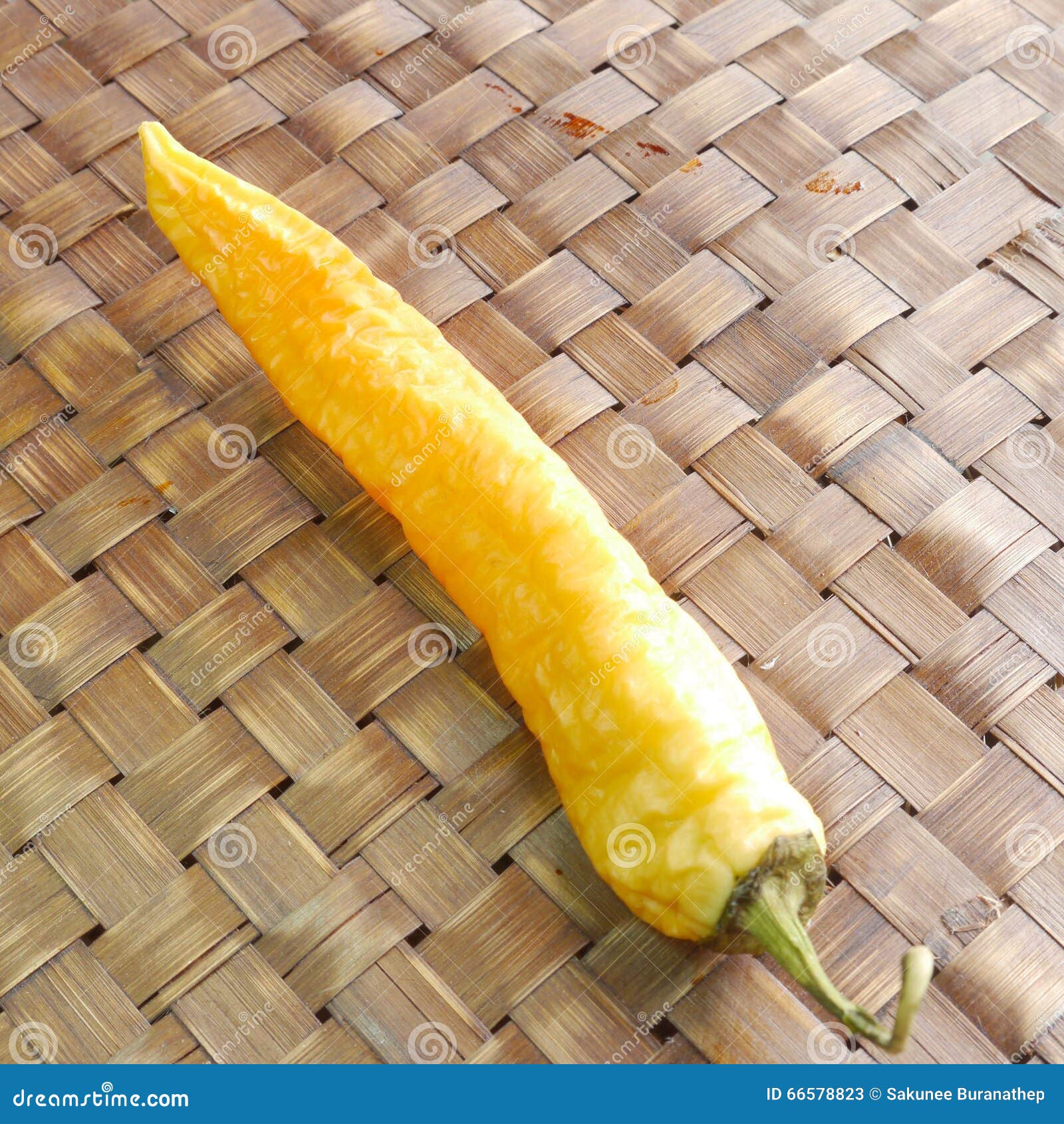 Yellow Chilli stock image. Image of remote, vegetable - 66578823