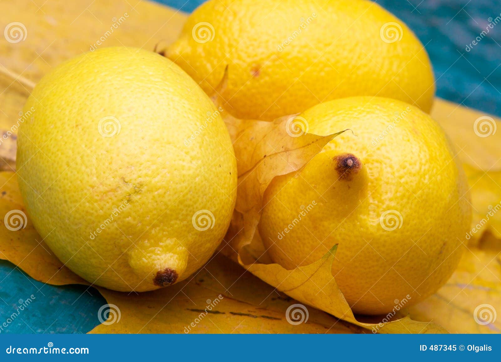Yellow citric still-life stock image. Image of fancy, colour - 487345