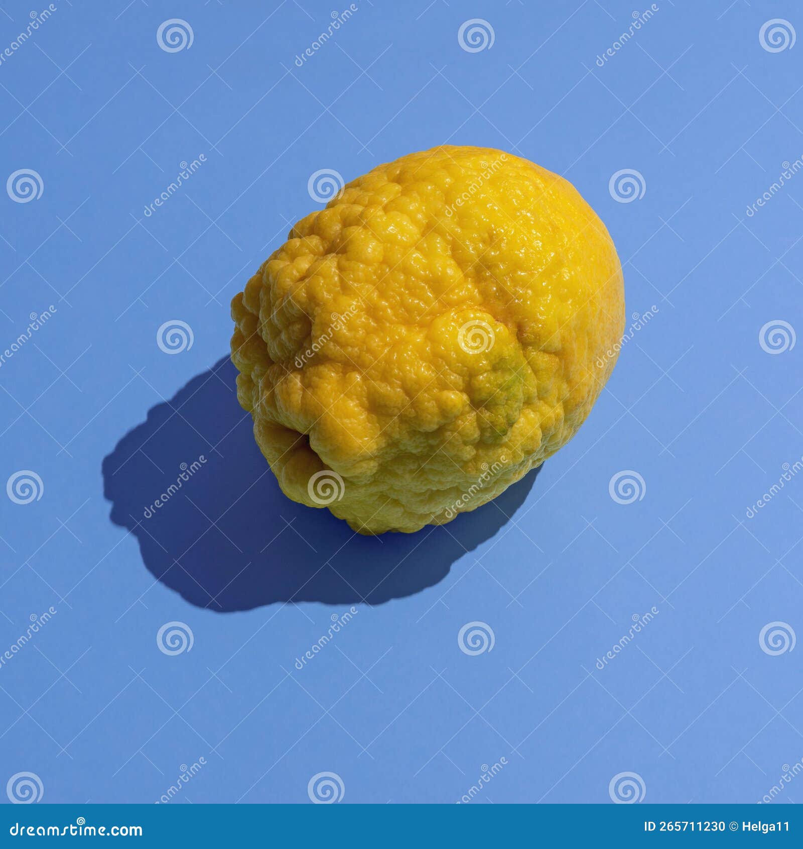Yellow Citron Or Citrus Medica Used By Jewish People During The Holiday ...