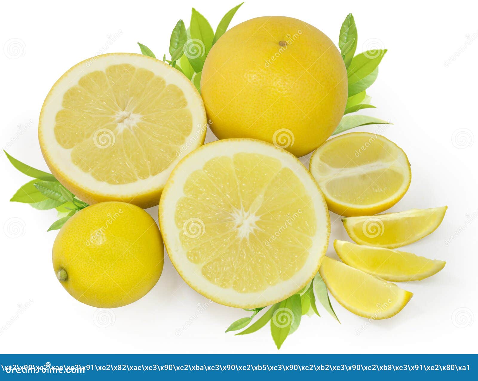 Yellow citrus stock image. Image of health, orange, lemonade - 15088085