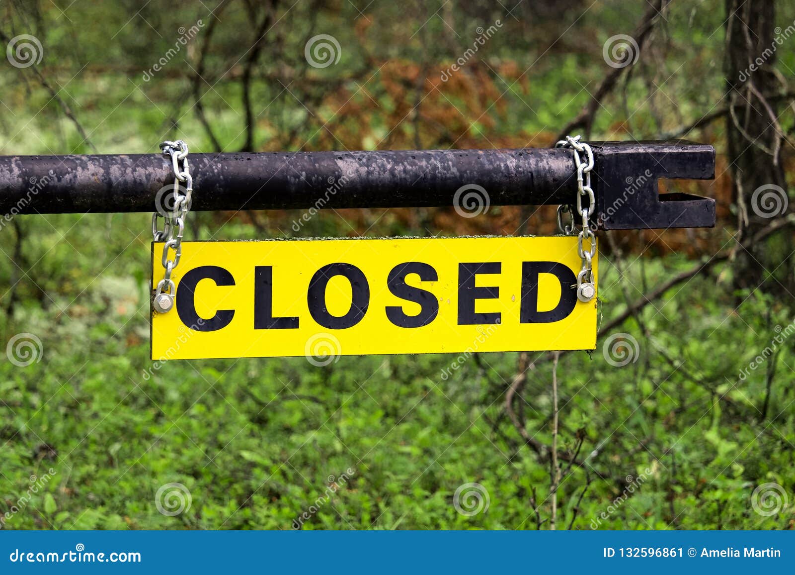 A Yellow Closed Sign on an Metal Gate Stock Image - Image of forest ...