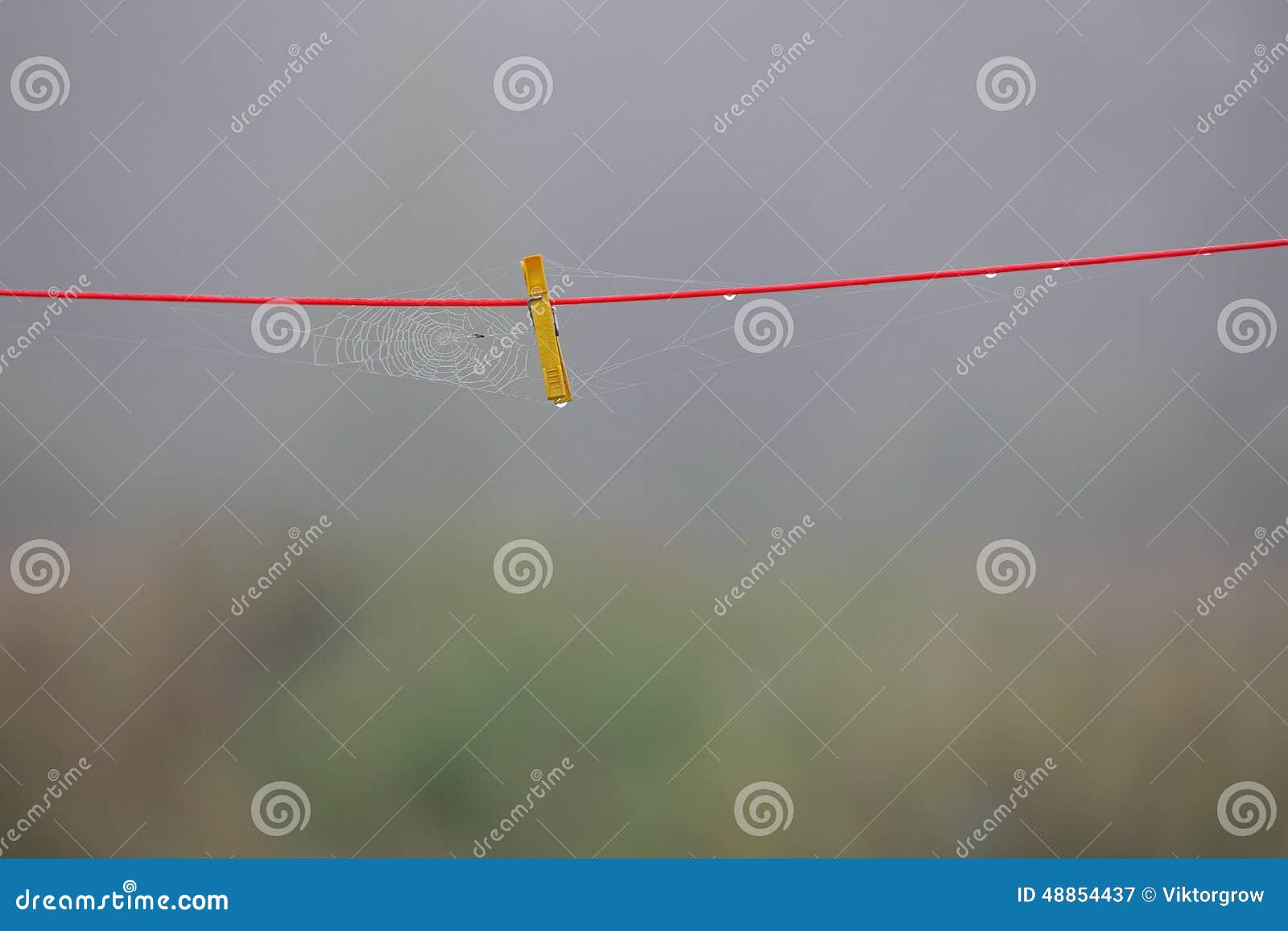 Yellow Clothespin and Cobwebs on the Red Rope Stock Image - Image of ...
