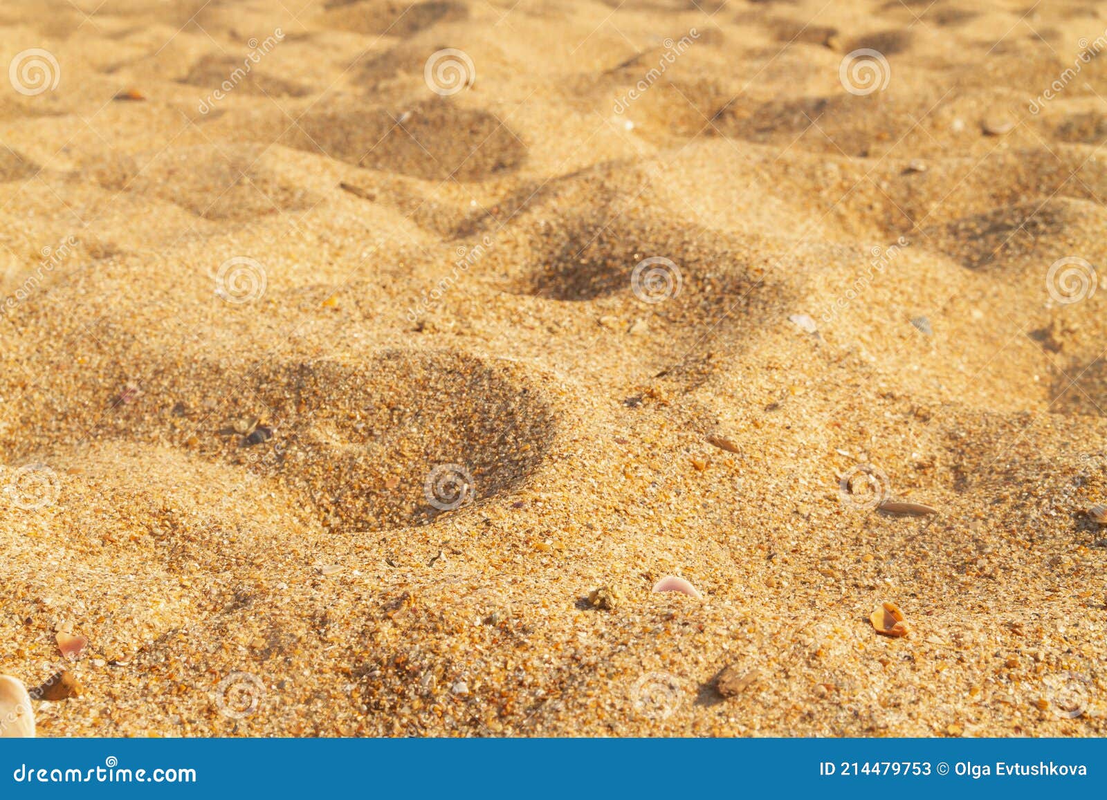 Coarse Sand Background With Green Moss In The Corner Stock Photography ...