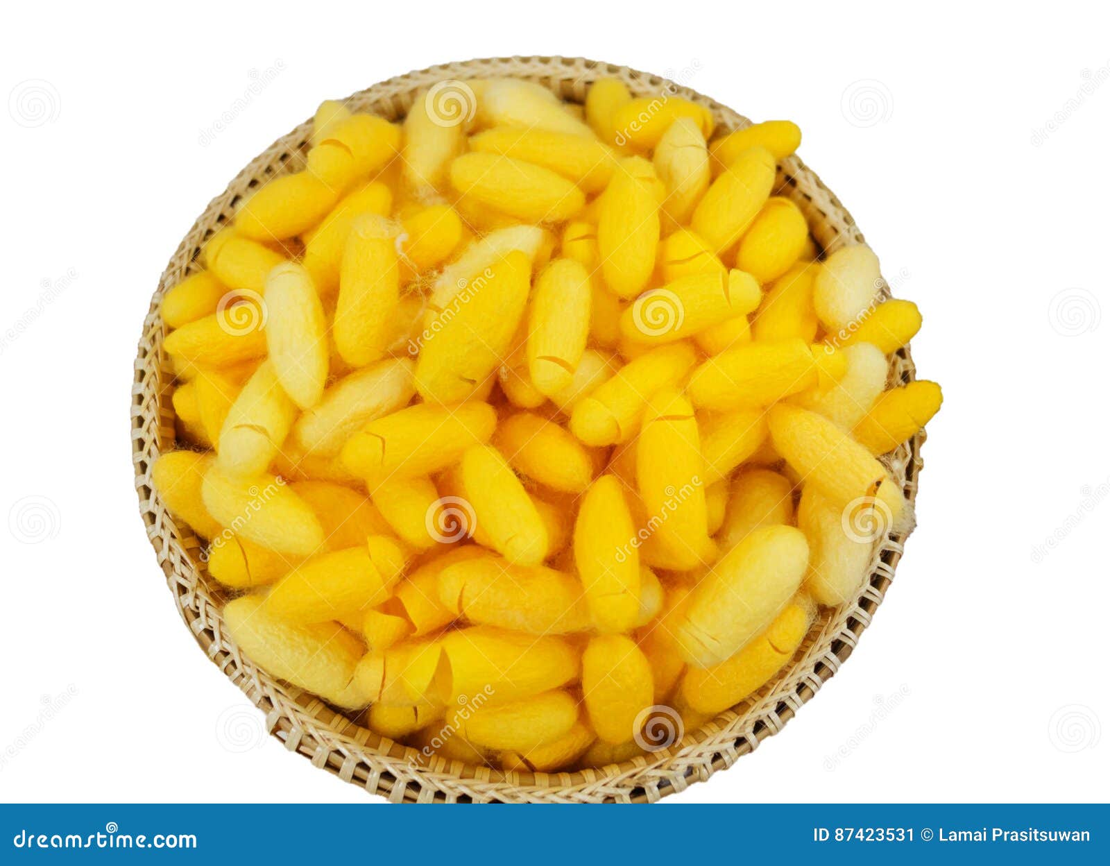 Yellow cocoons in basket stock image. Image of worm, texture - 87423531