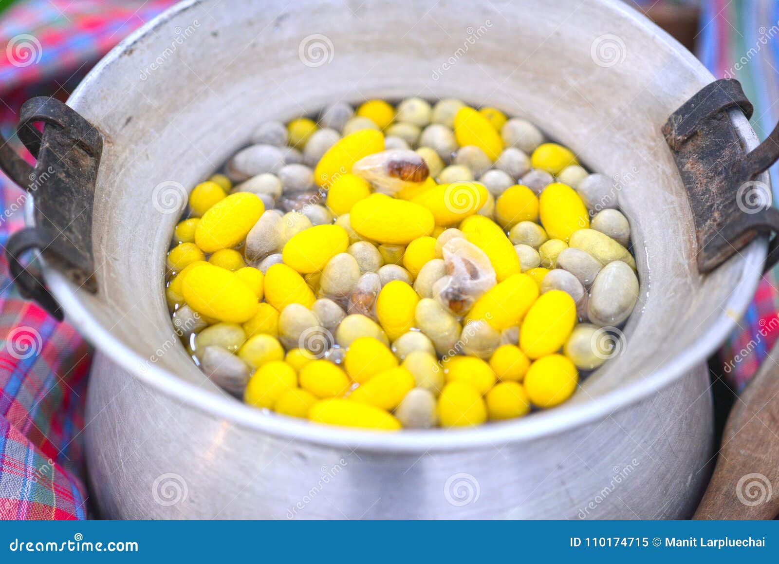 Yellow Color Boiling Cocoon Silkworm in a Pot. Stock Image - Image of ...