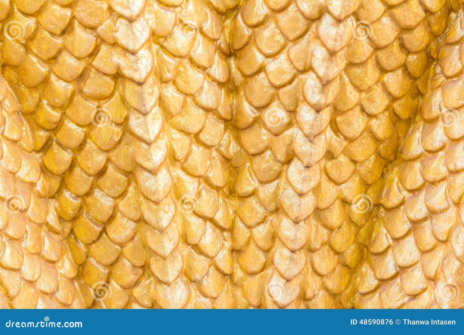 Yellow Color Dragon Texture. Stock Photography | CartoonDealer.com ...