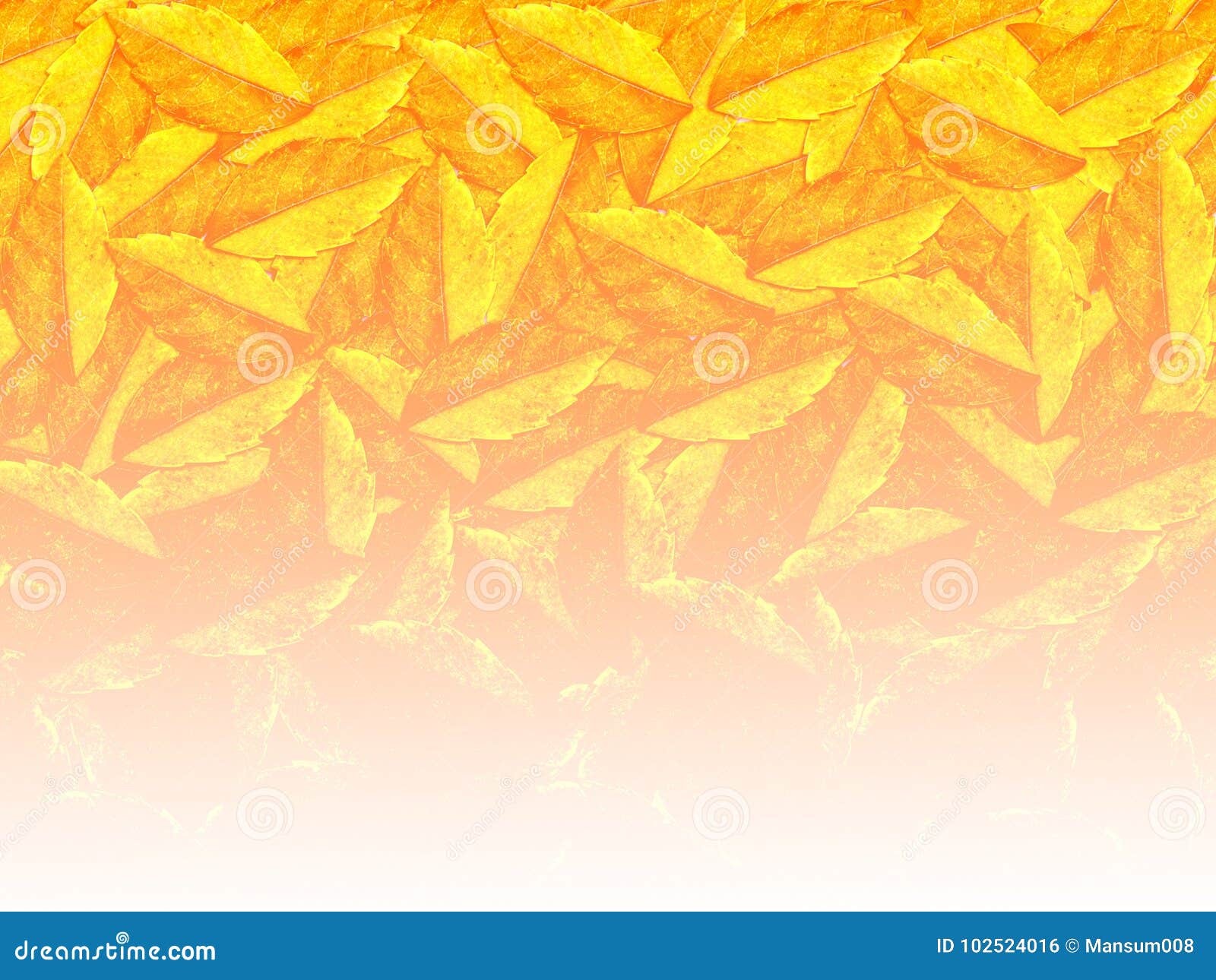 Yellow Color Leaf Pattern Background Stock Photo - Image of foliage ...