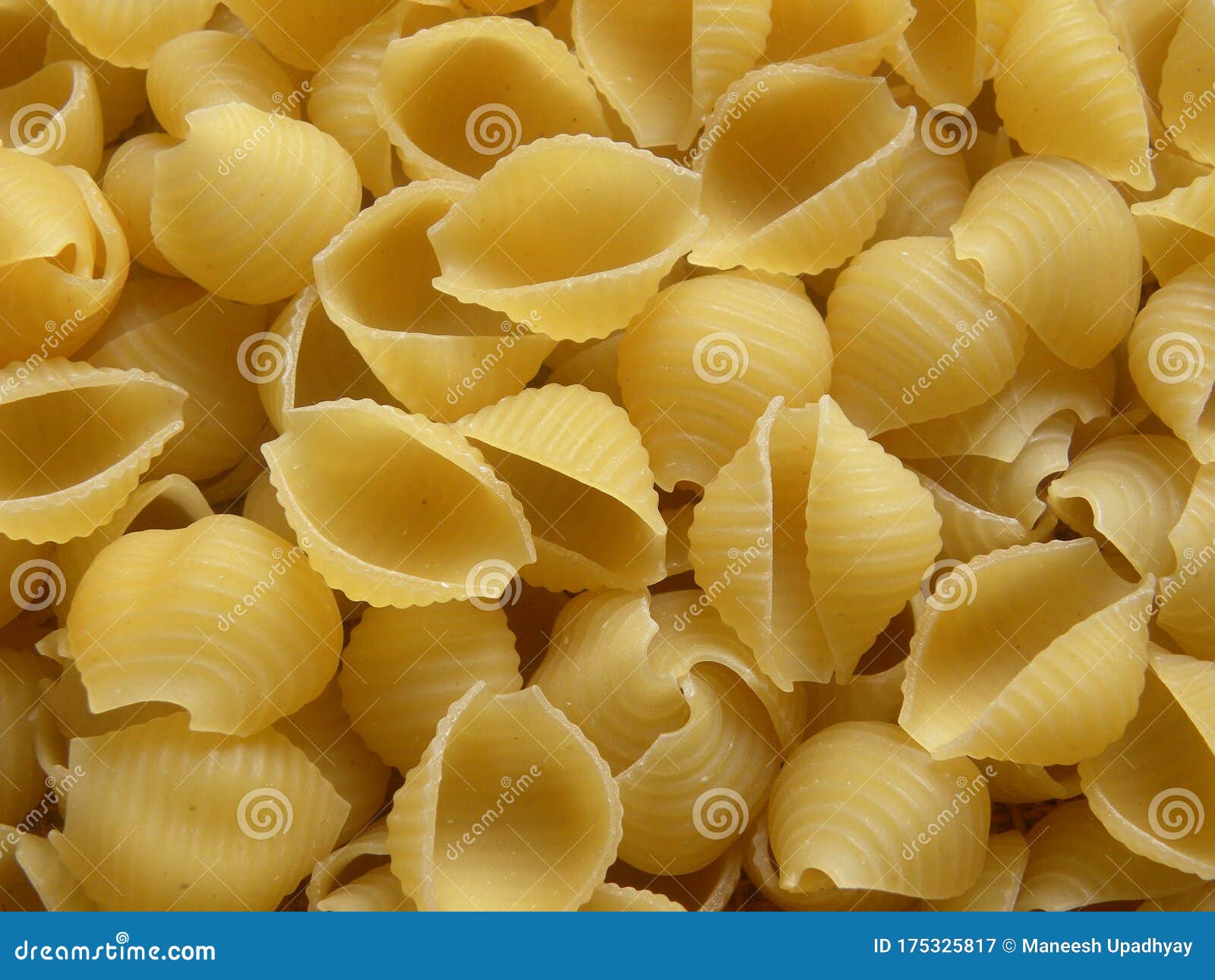 Conchigliette stock image. Image of culinary, eating - 175325817