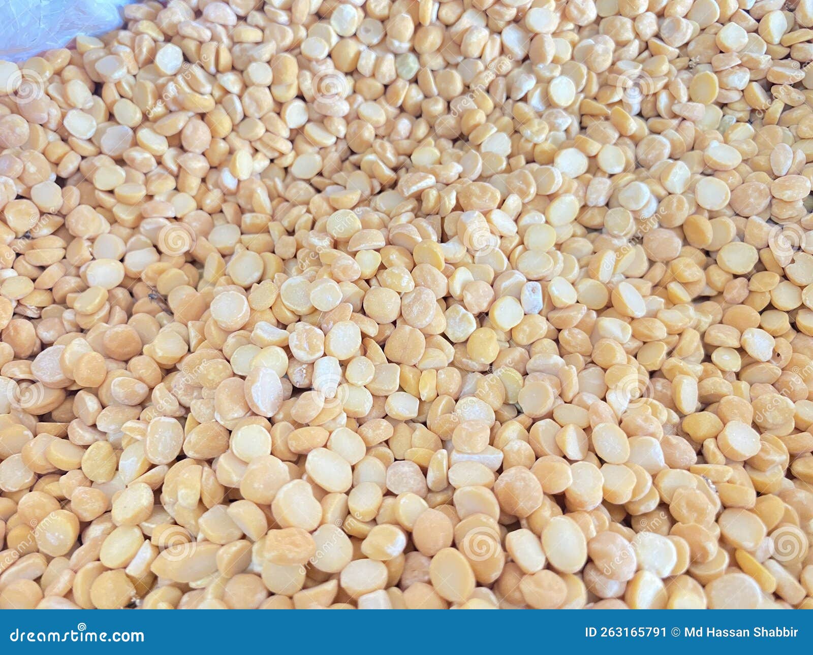 Yellow Color Split Raw Chana Dal or Chickpeas Lentils Stock Image ...