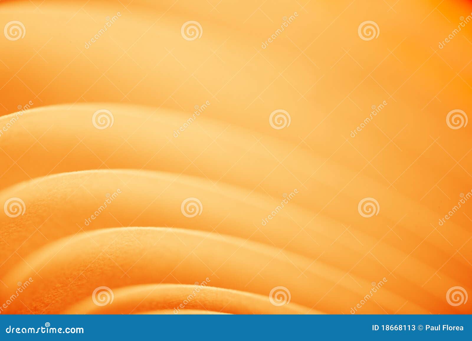Yellow Color Tones Macro Pattern of Curved Stock Image - Image of color ...