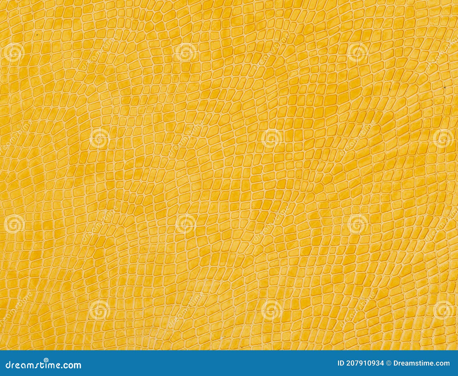 Colorful Snake Like Pattern Royalty-Free Stock Image | CartoonDealer ...