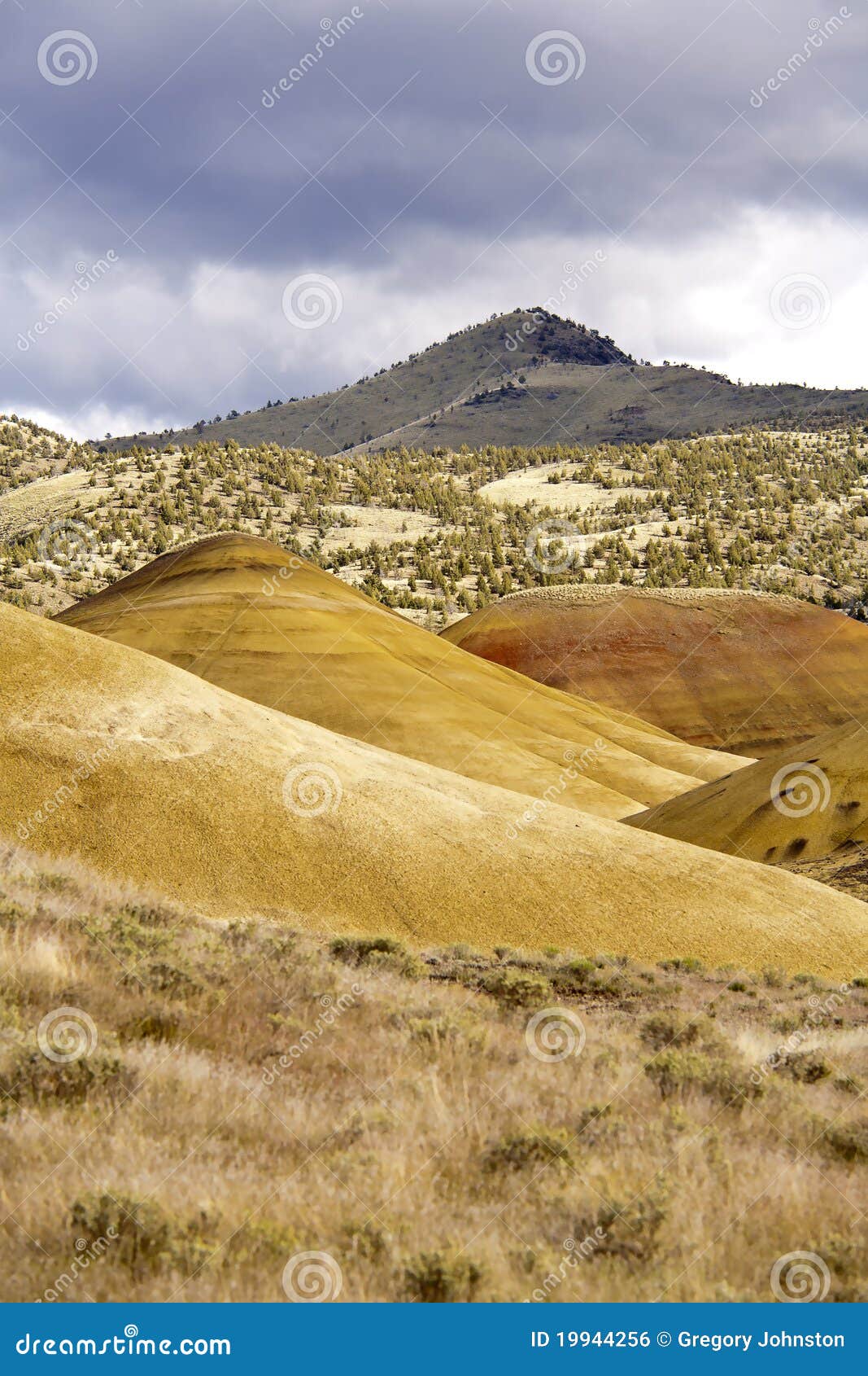 Yellow Colors of the Painted Hills. Stock Photo - Image of grass ...
