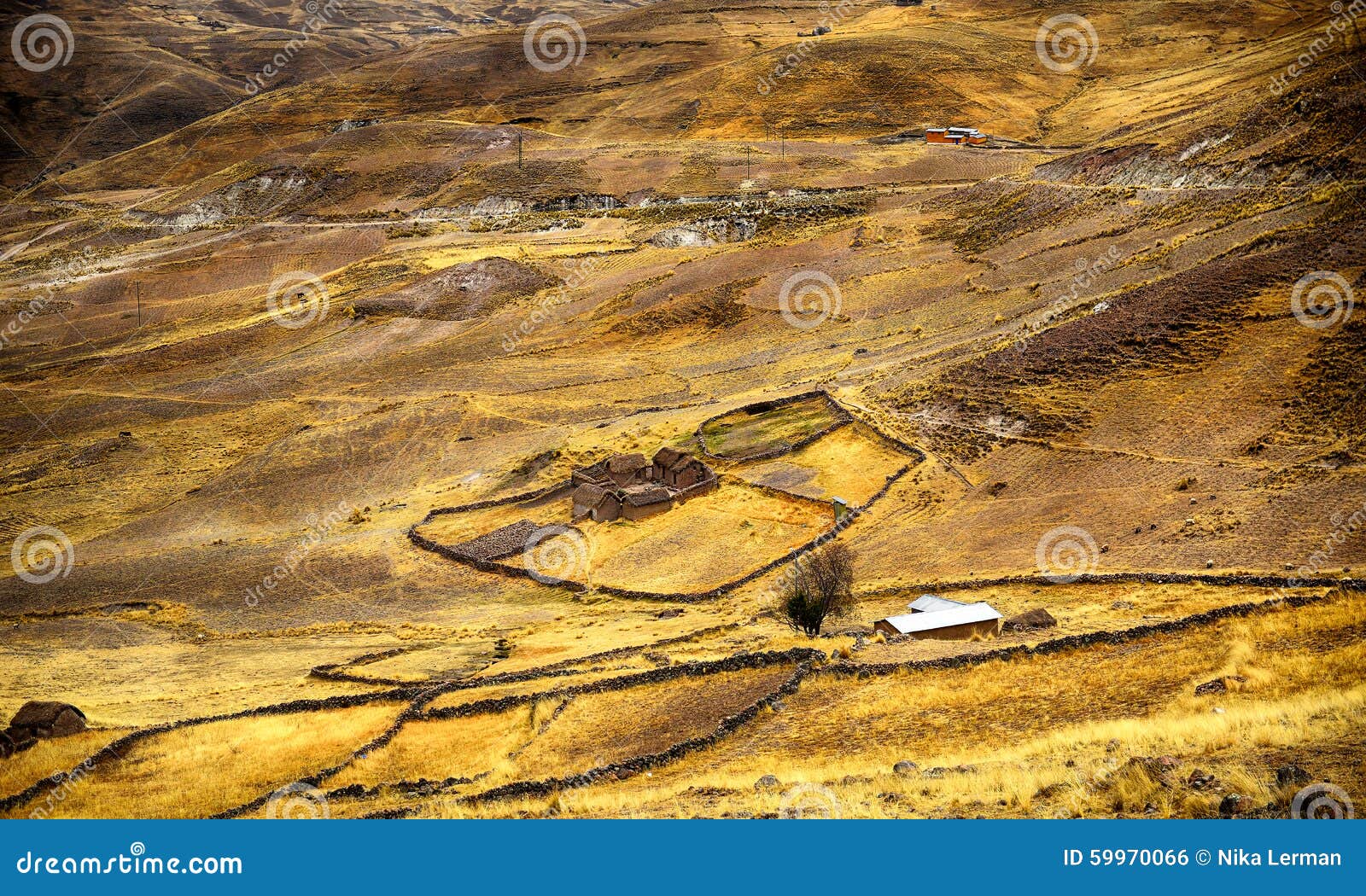 Yellow Colors of Peruvian Landscape Stock Photo - Image of landscape ...