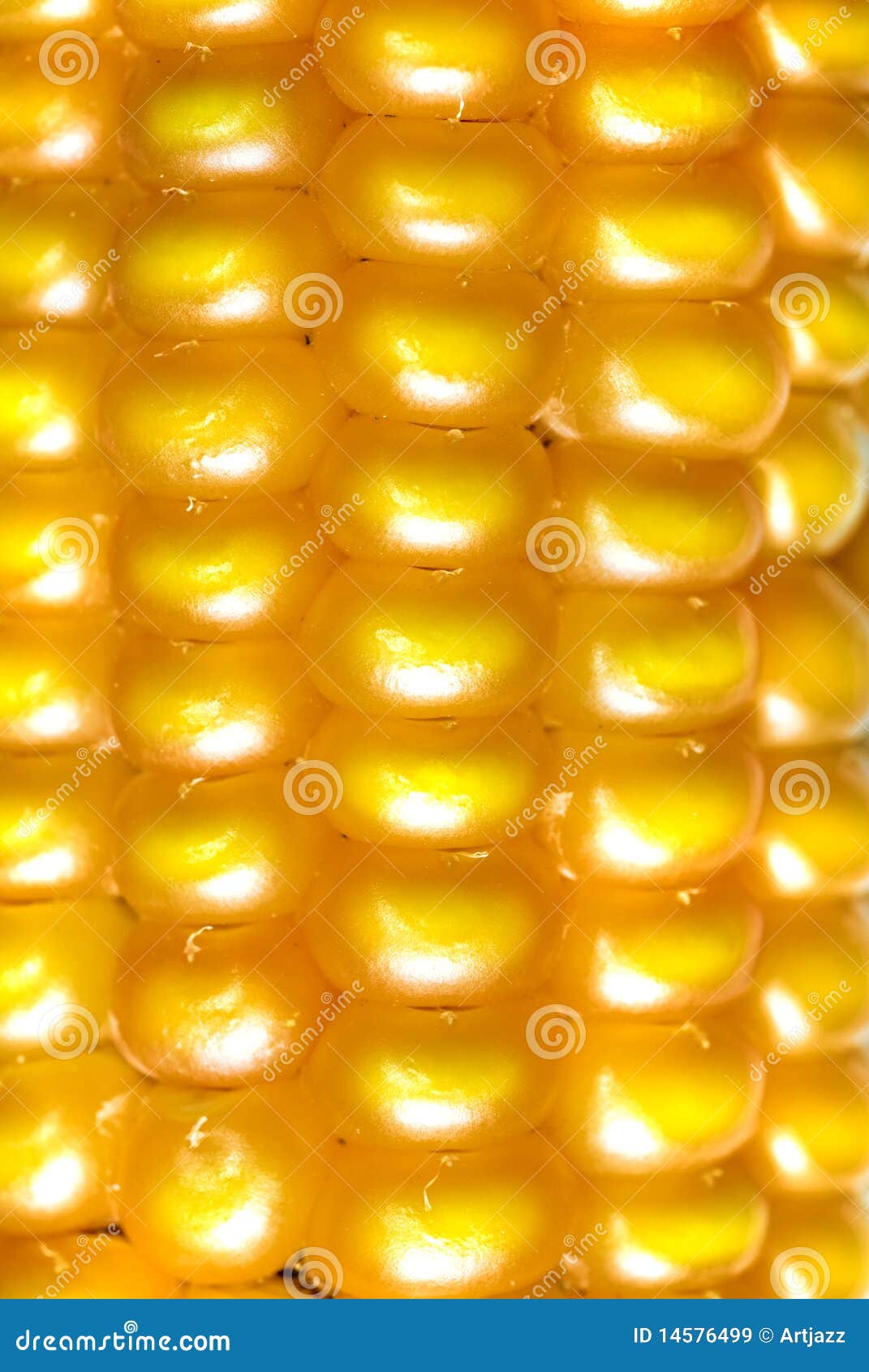 Yellow corn stock image. Image of corn, peel, nature - 14576499