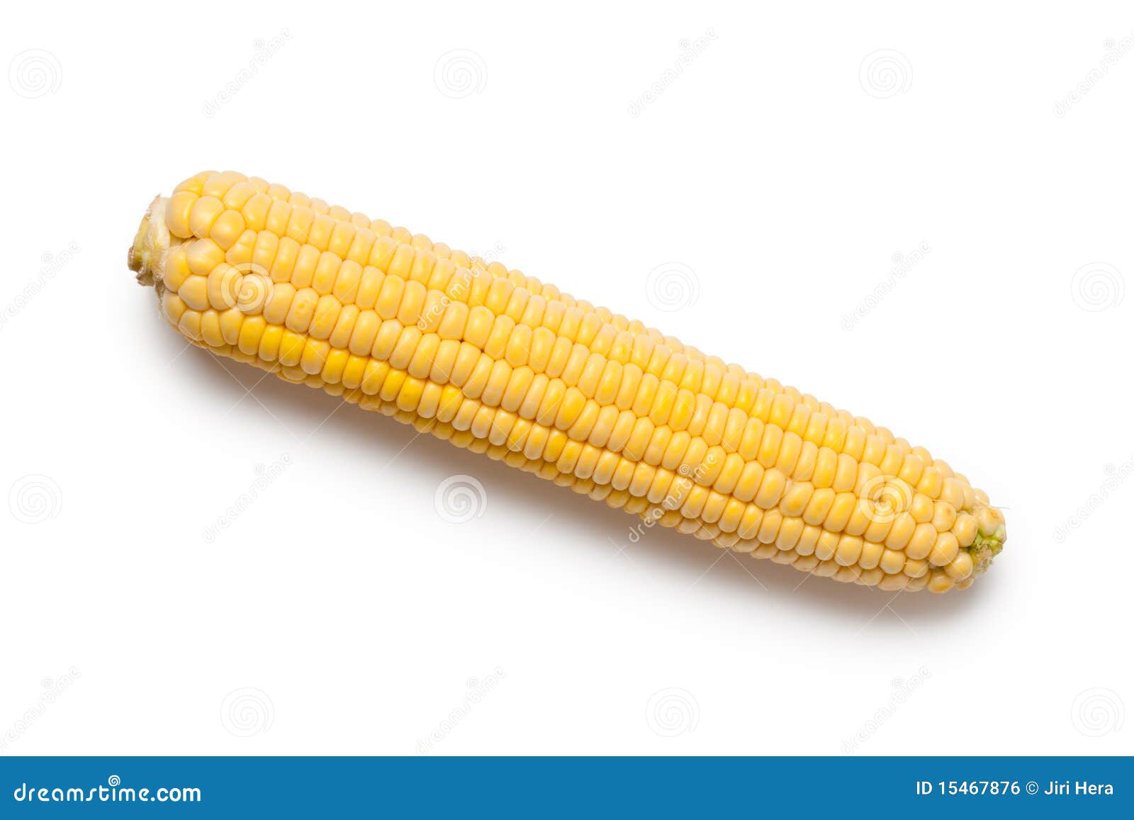 Yellow corn stock photo. Image of background, food, eating - 15467876