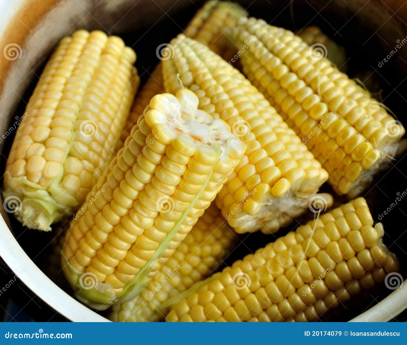 Yellow Corn stock image. Image of food, corn, bright - 20174079