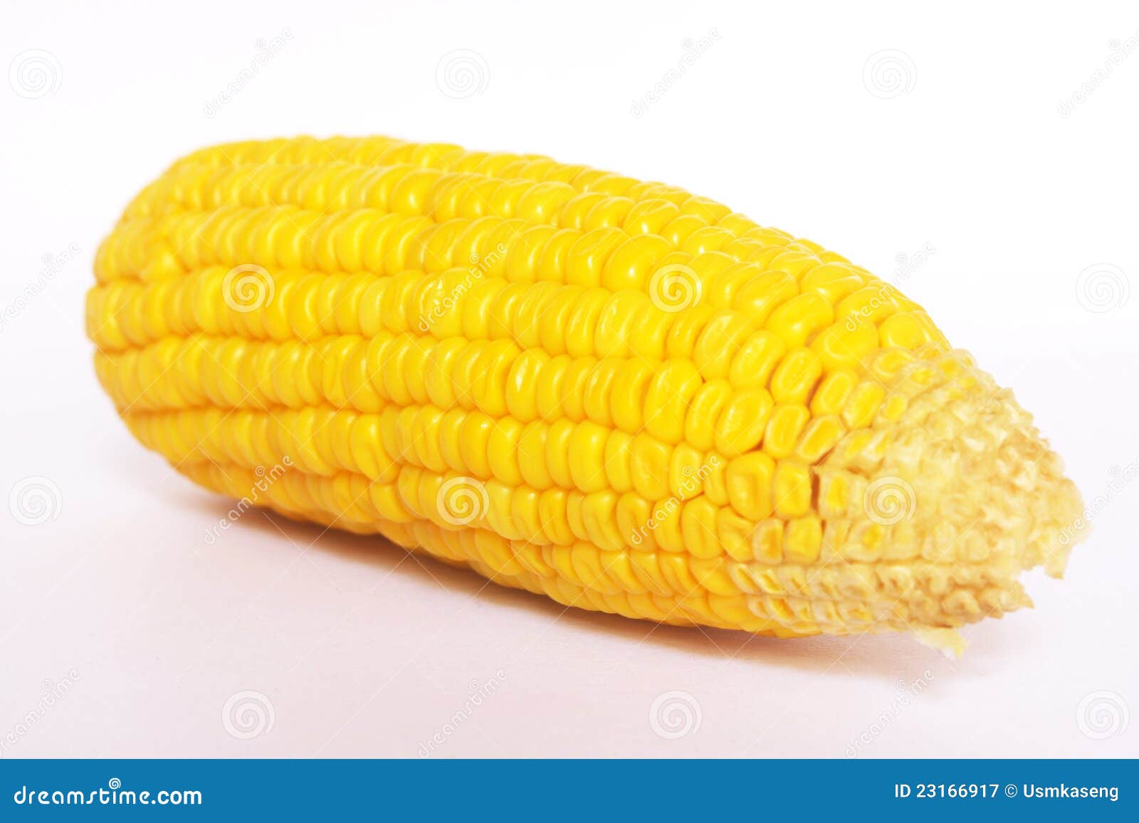 Yellow corn stock image. Image of asia, yellow, still - 23166917