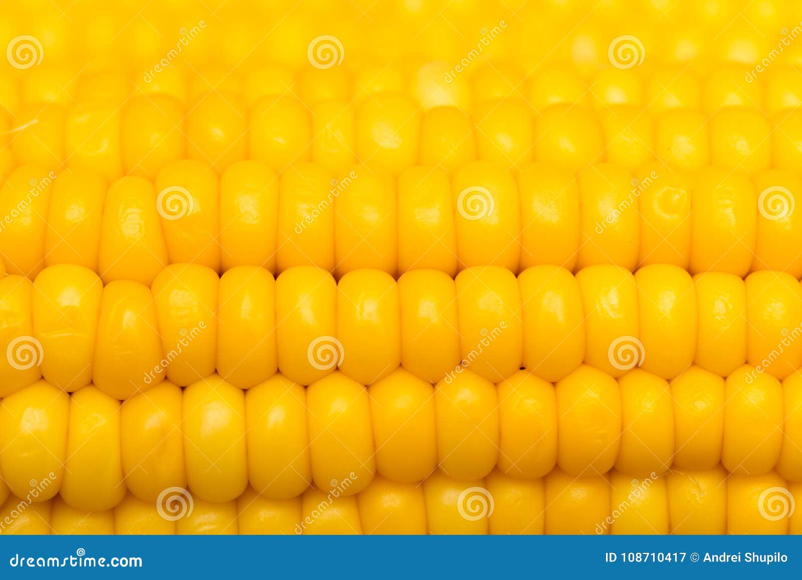 Yellow Corn As a Background. Macro Stock Image - Image of closeup ...