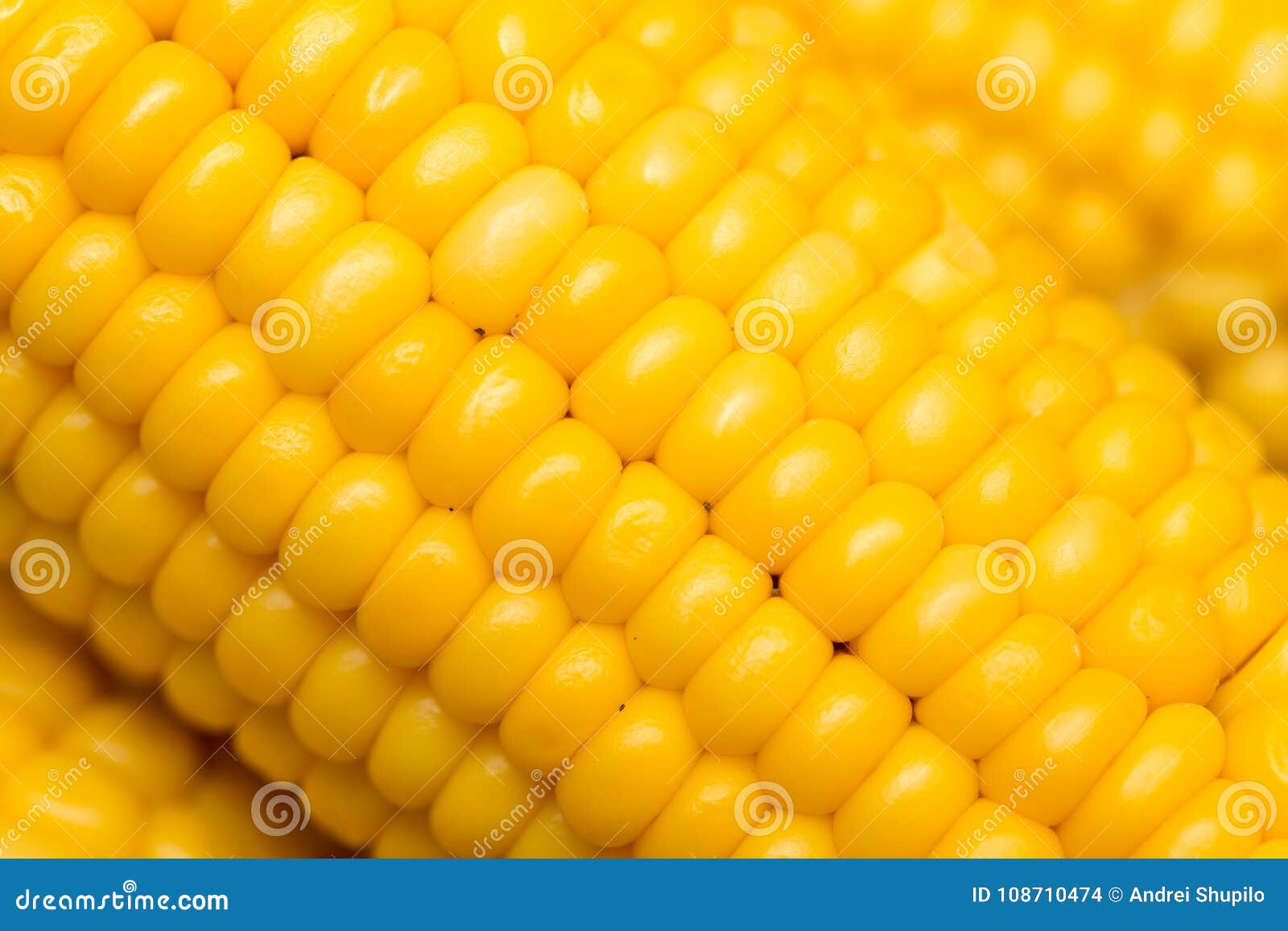Yellow Corn As a Background. Macro Stock Photo - Image of sweet ...