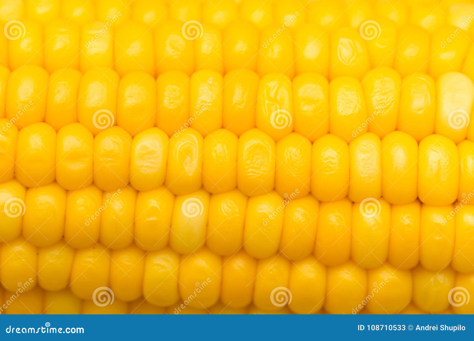 Yellow Corn As a Background. Macro Stock Image - Image of food, grain ...