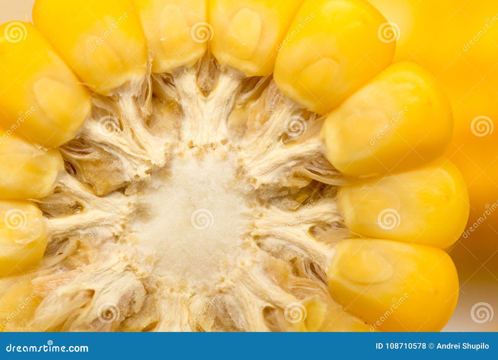 Yellow Corn As a Background. Macro Stock Photo - Image of healthy ...