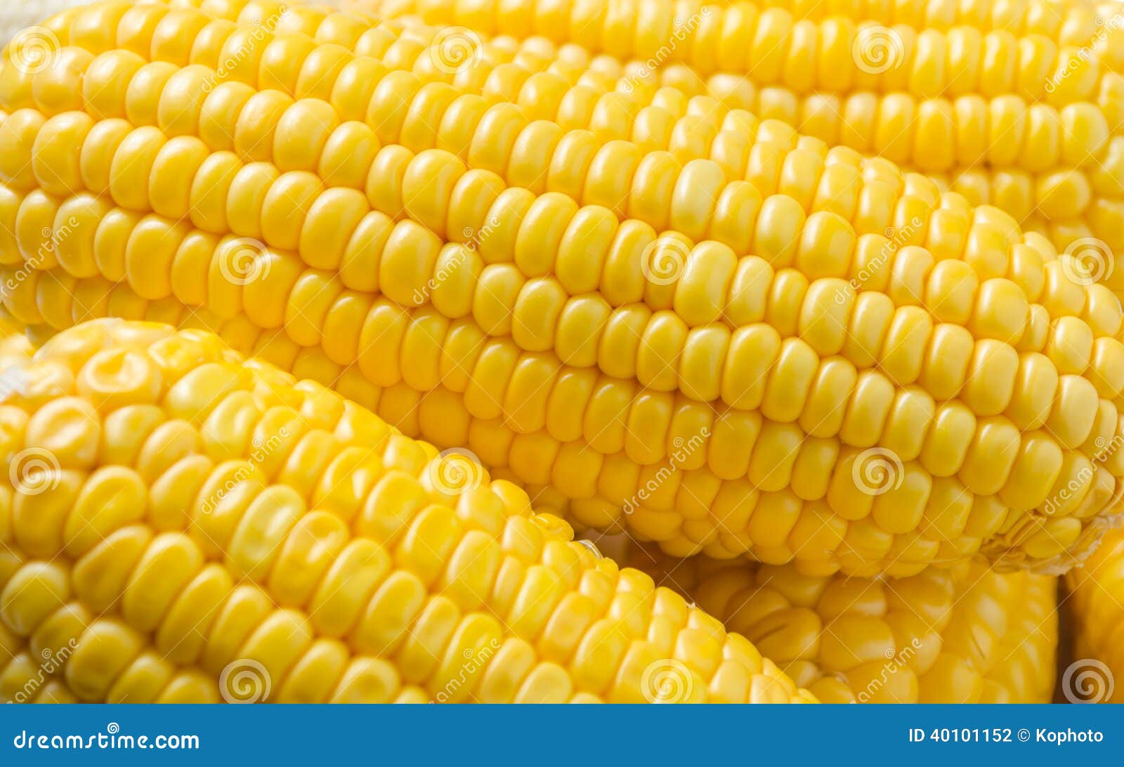 Yellow corn background stock photo. Image of cooking - 40101152