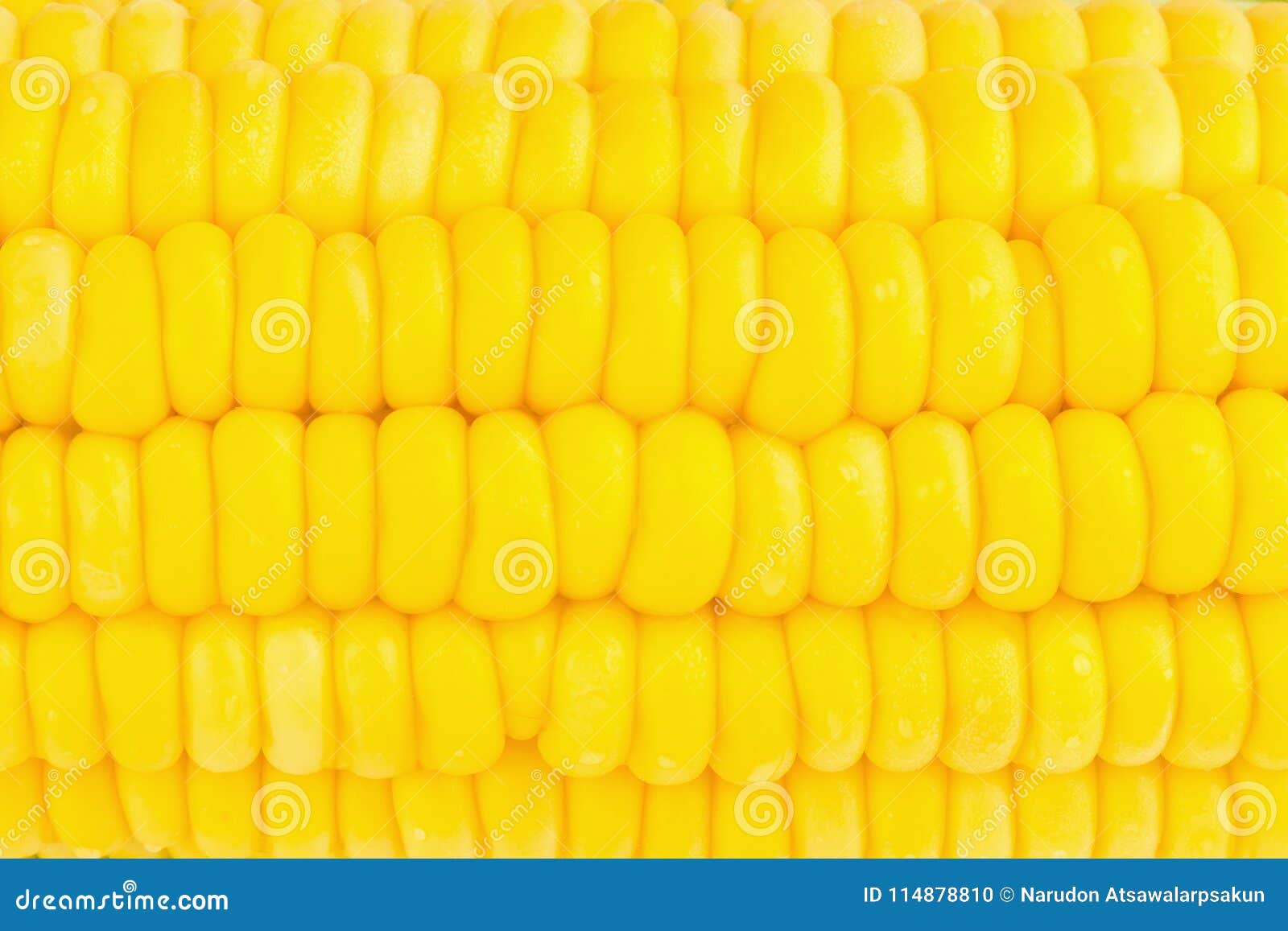 Yellow Corn Background , Texture Yellow Corn. Beautiful Stock Photo ...