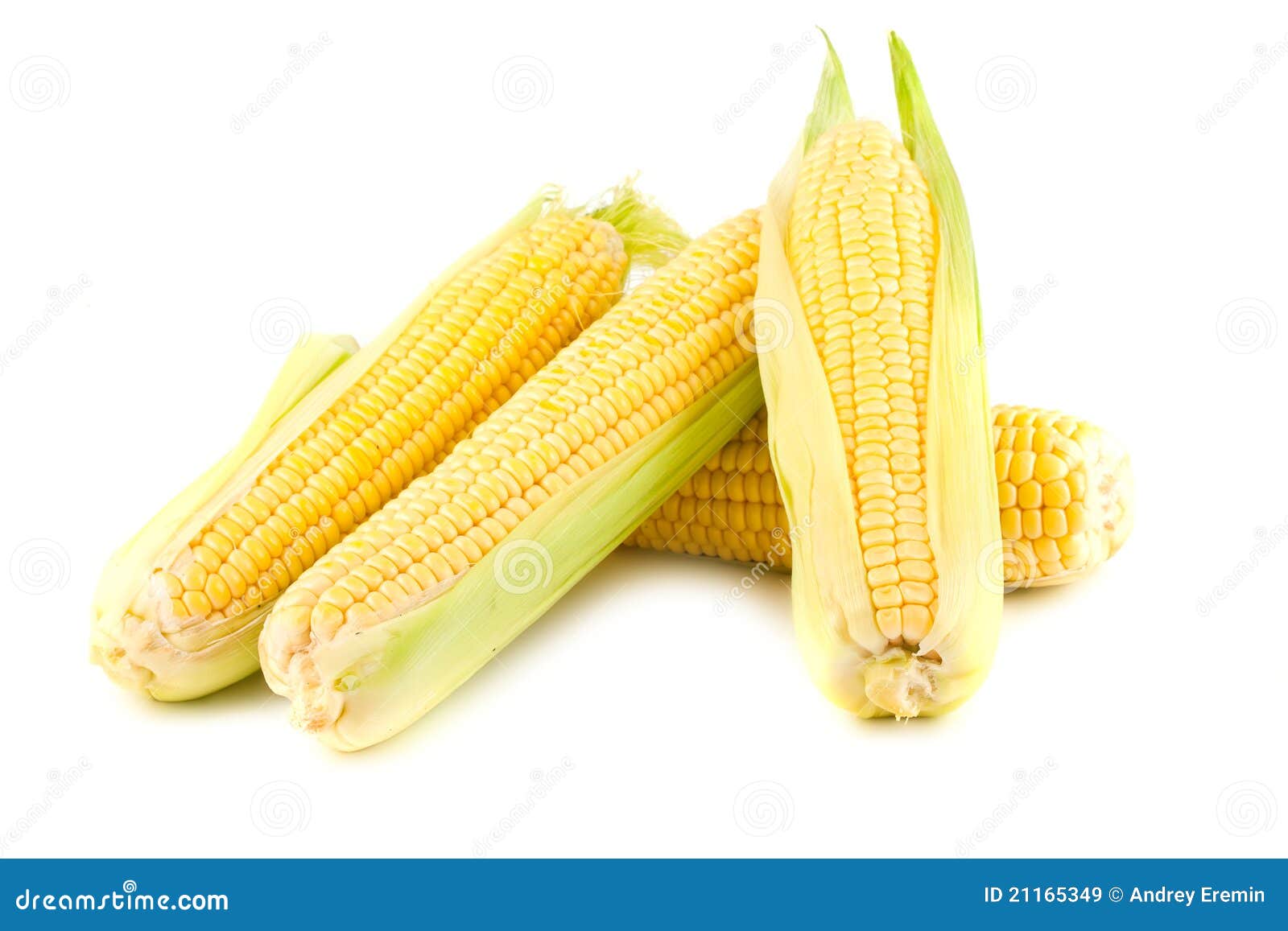 Yellow Corn On White Background. Sweet Yellow Corn Isolated Studio ...