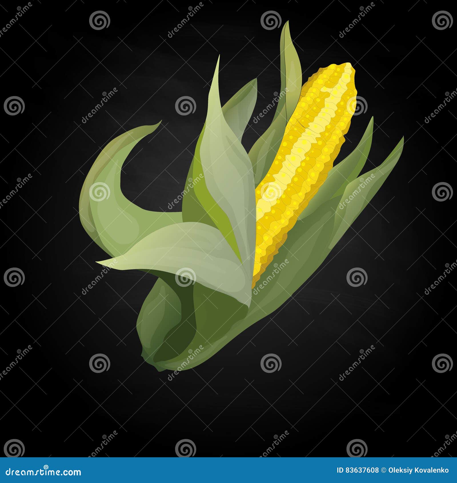 Yellow corn on the cobs stock vector. Illustration of corncob - 83637608