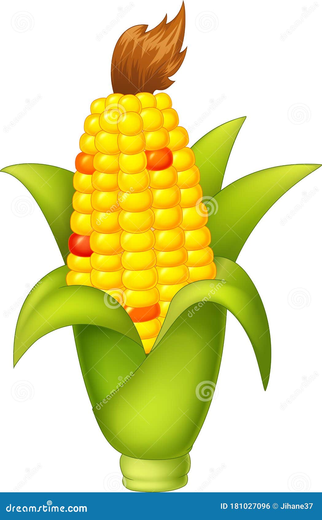 Yellow Corn On The Cobs, Male Inflorescence And Leaves Isolated On ...