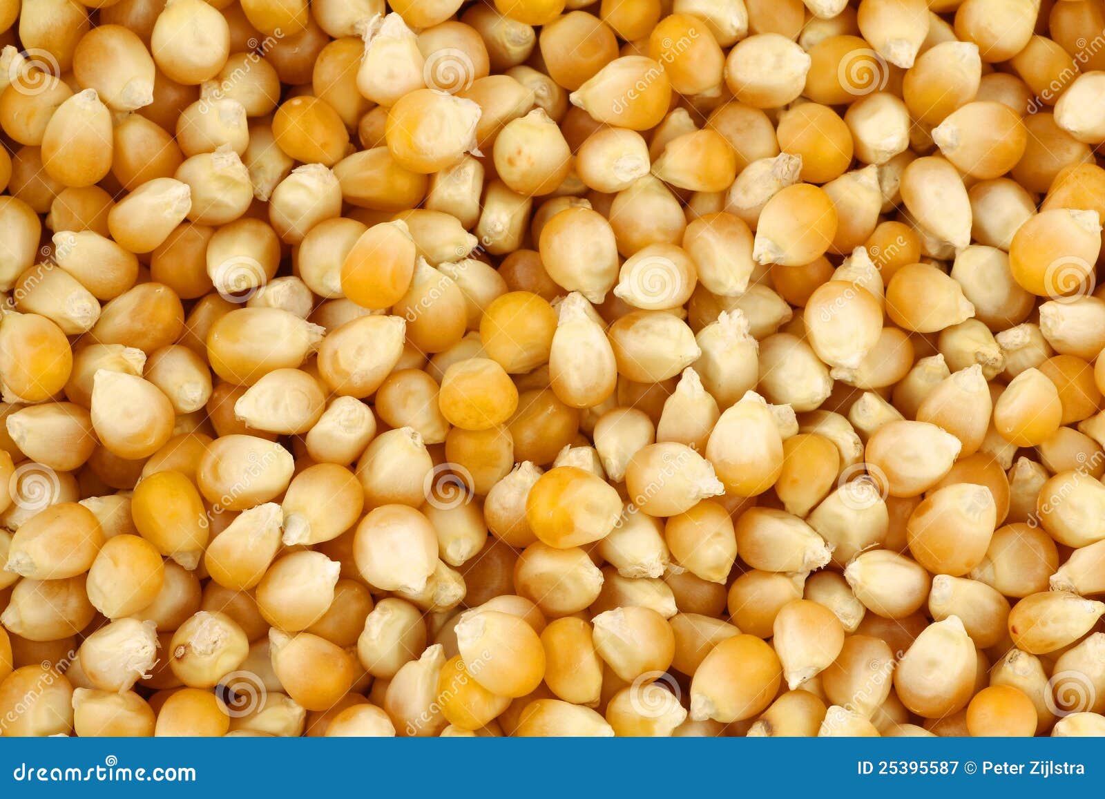 Yellow Corn Grain Background Stock Image - Image of plant, recipe: 25395587