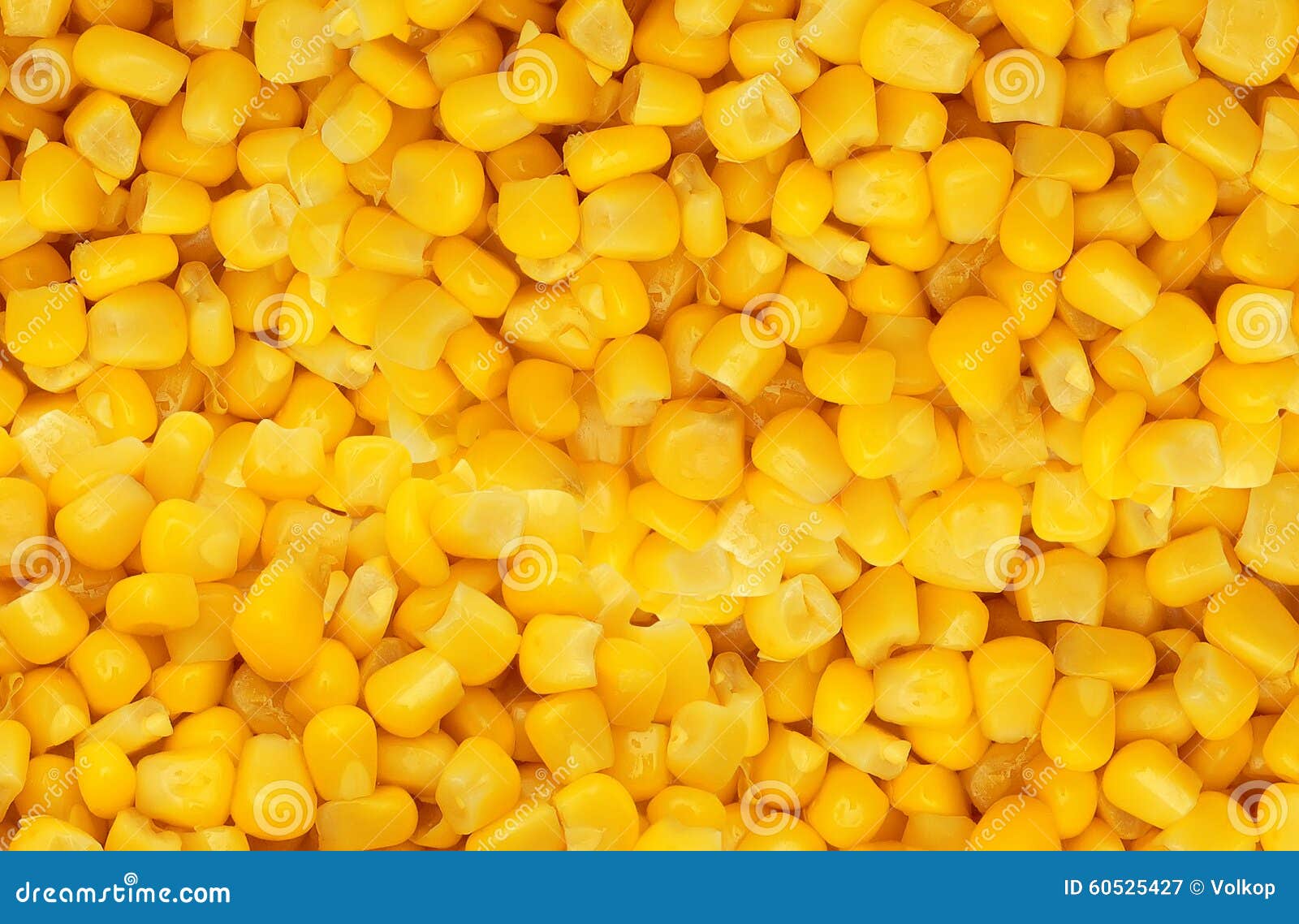 Yellow Corn Grain Background Stock Image - Image of maize, closeup ...