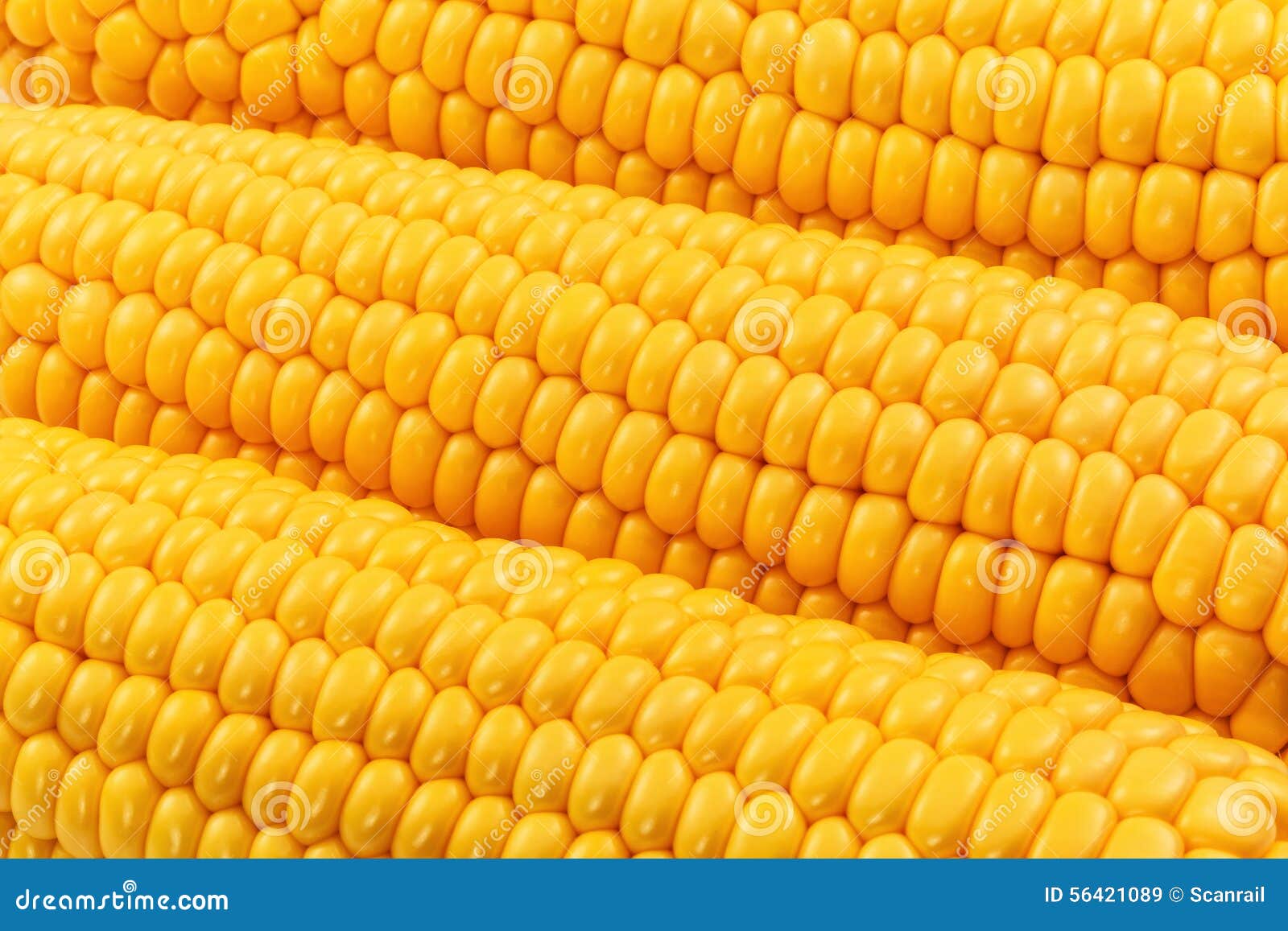 Yellow corn stock image. Image of background, husk, agricultural - 56421089