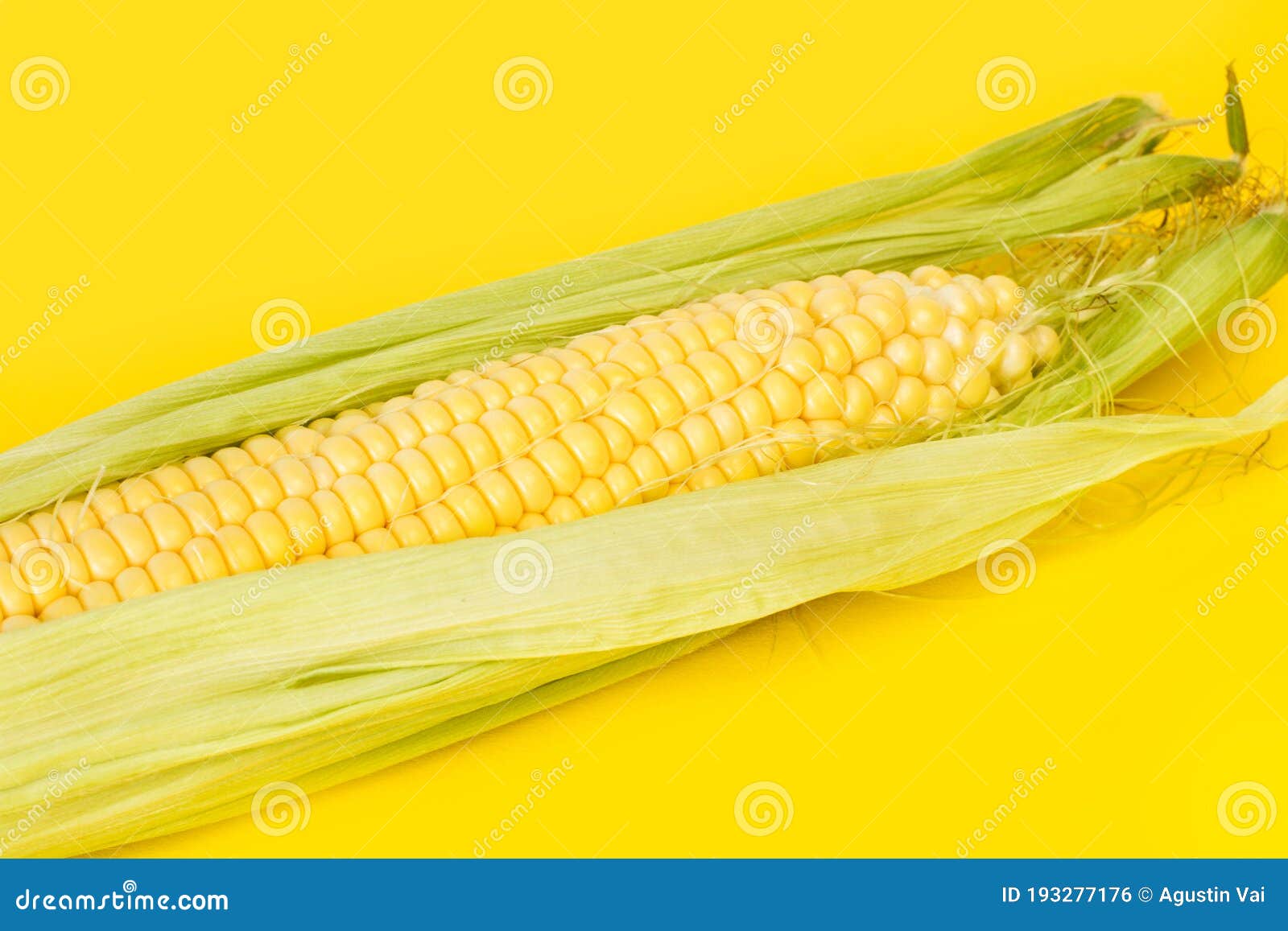 Yellow Corn Maize on a Yellow Background Stock Photo - Image of natural ...