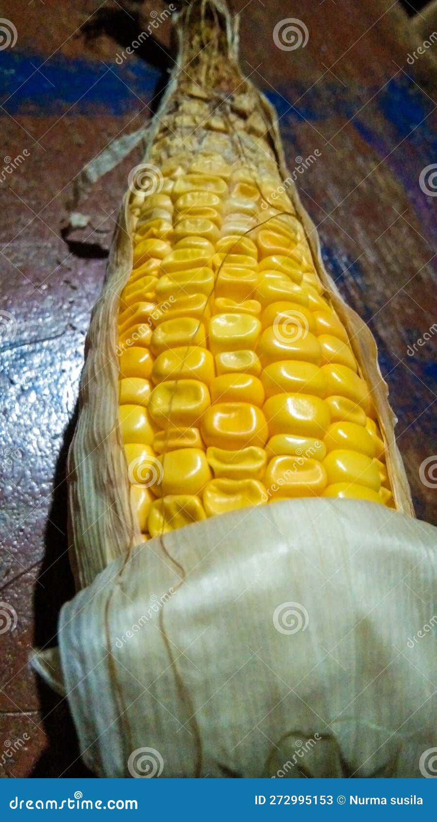 The Yellow Corn when Open the Skin Stock Image - Image of open, nature ...