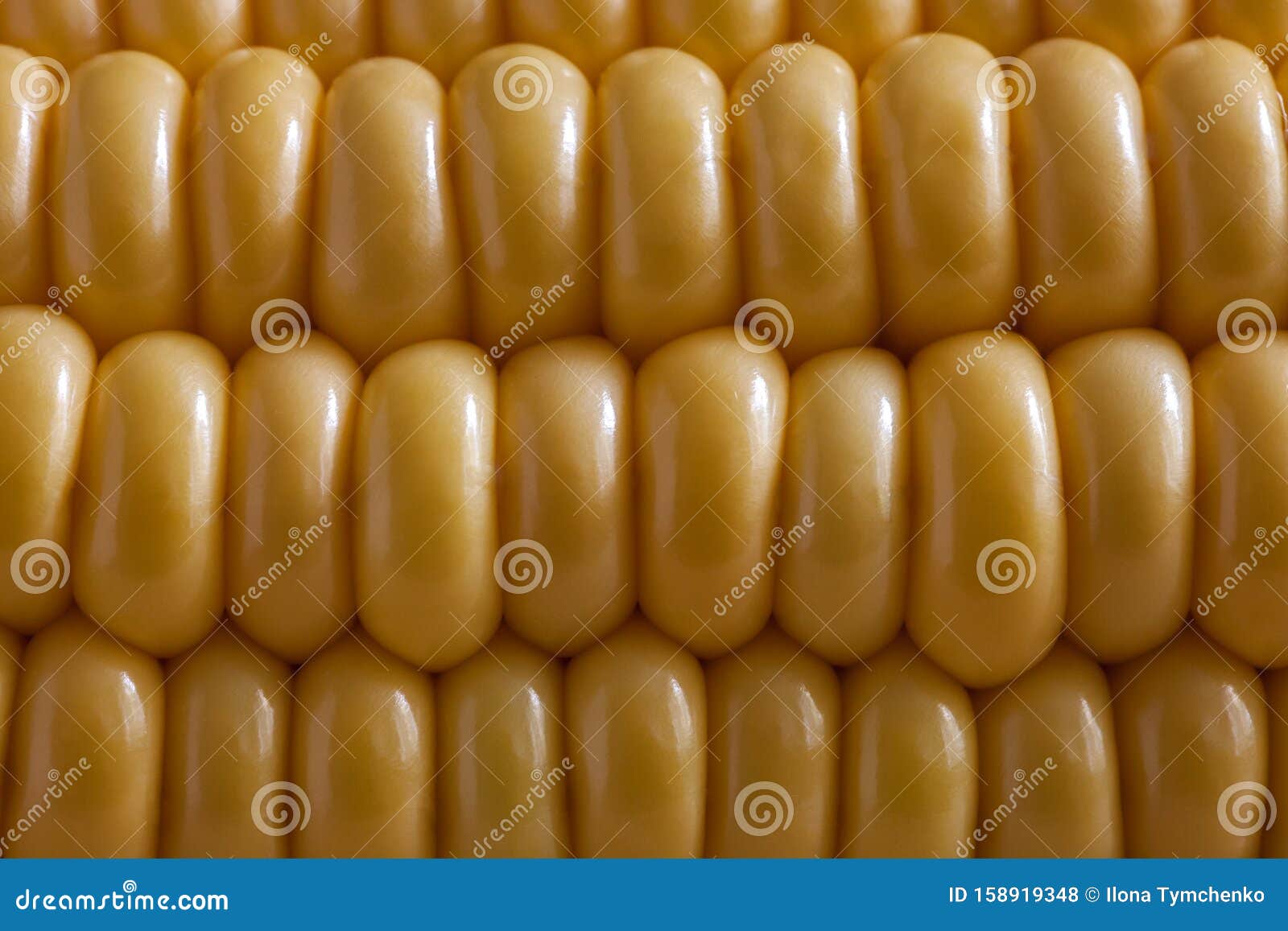 Yellow Corn Pattern Close Up Stock Photo - Image of seeds, cereal ...