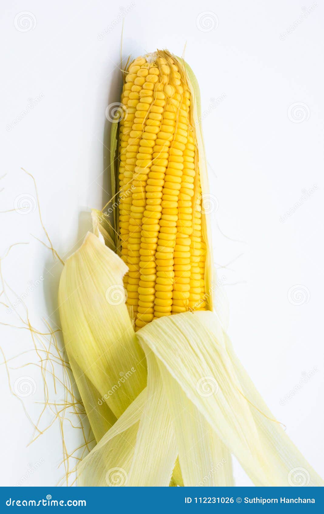 Yellow Corn Raw Isolated on White Background Stock Photo - Image of ...