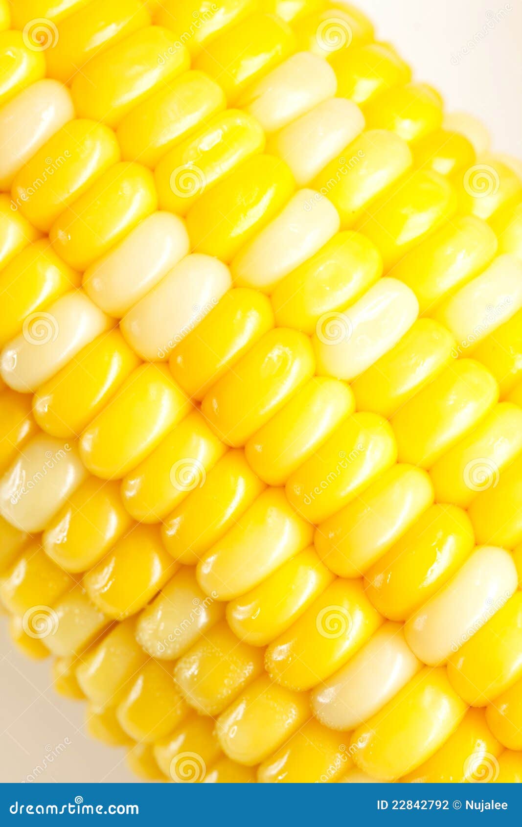 Yellow corn in row stock photo. Image of food, tasty - 22842792