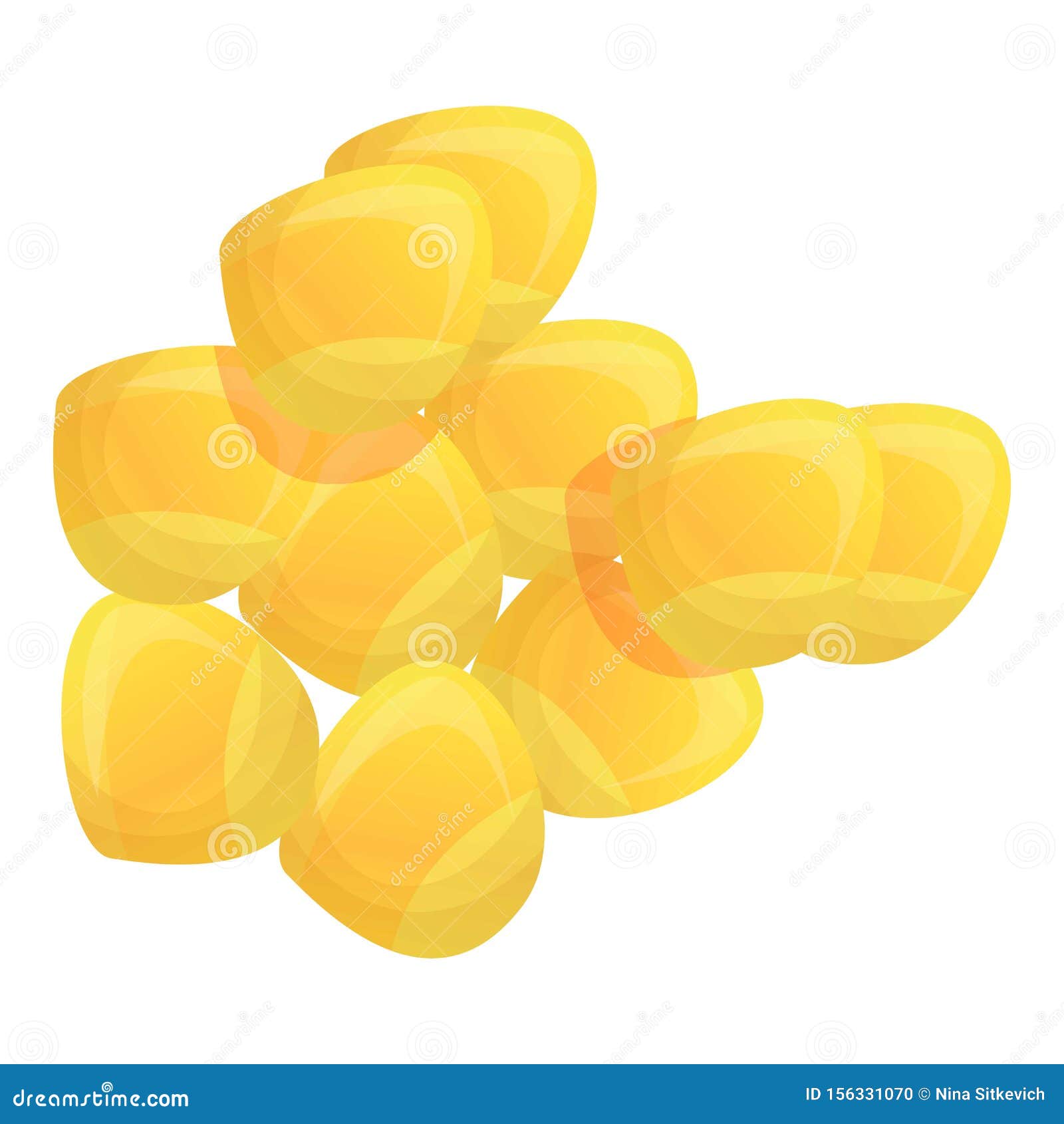 Corn Seed Structure Monocot Cartoon Vector | CartoonDealer.com #140825781