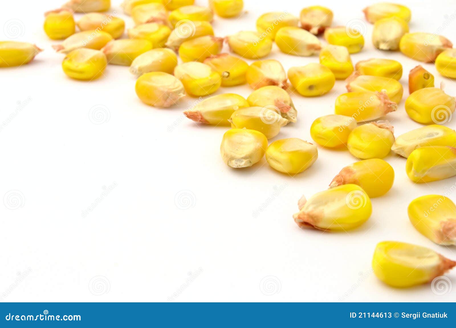 Yellow corn seeds stock image. Image of macro, healthy - 21144613