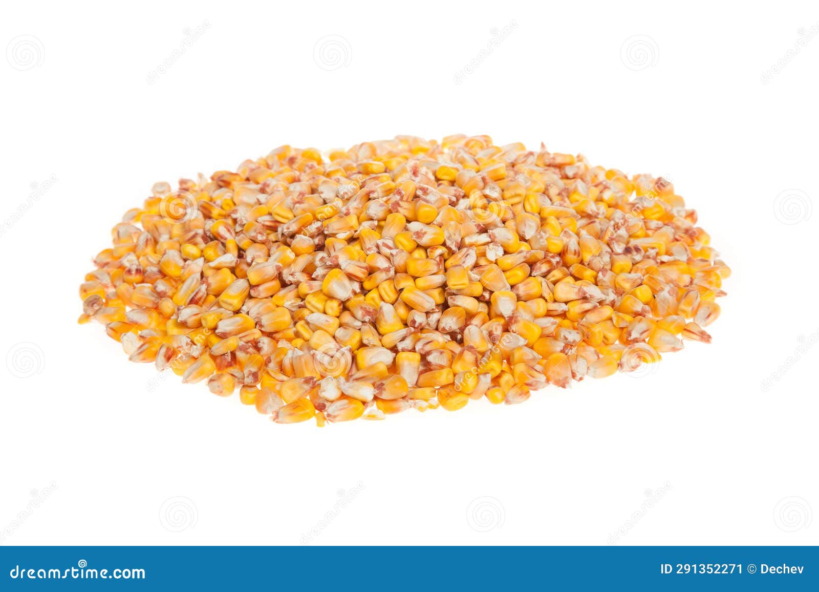 Yellow Corn Seeds, Grains. Isolated Stock Image - Image of maize ...