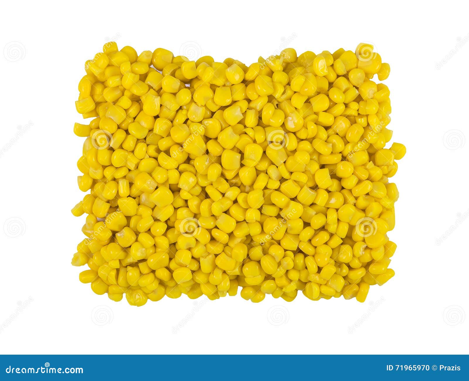 Yellow corn seeds stock photo. Image of corn, healthy - 71965970