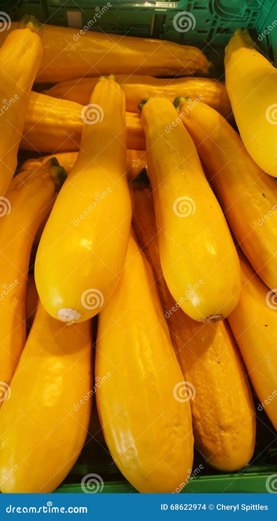 Yellow zucchini courgettes stock photo. Image of vitamins - 68622974