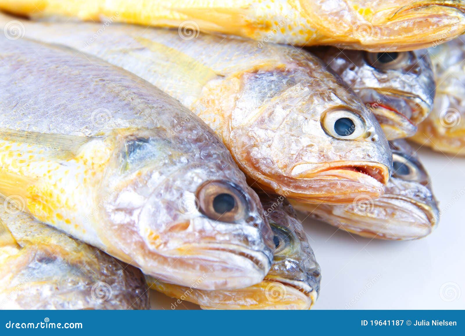 Yellow croaker stock image. Image of delicious, croaker - 19641187