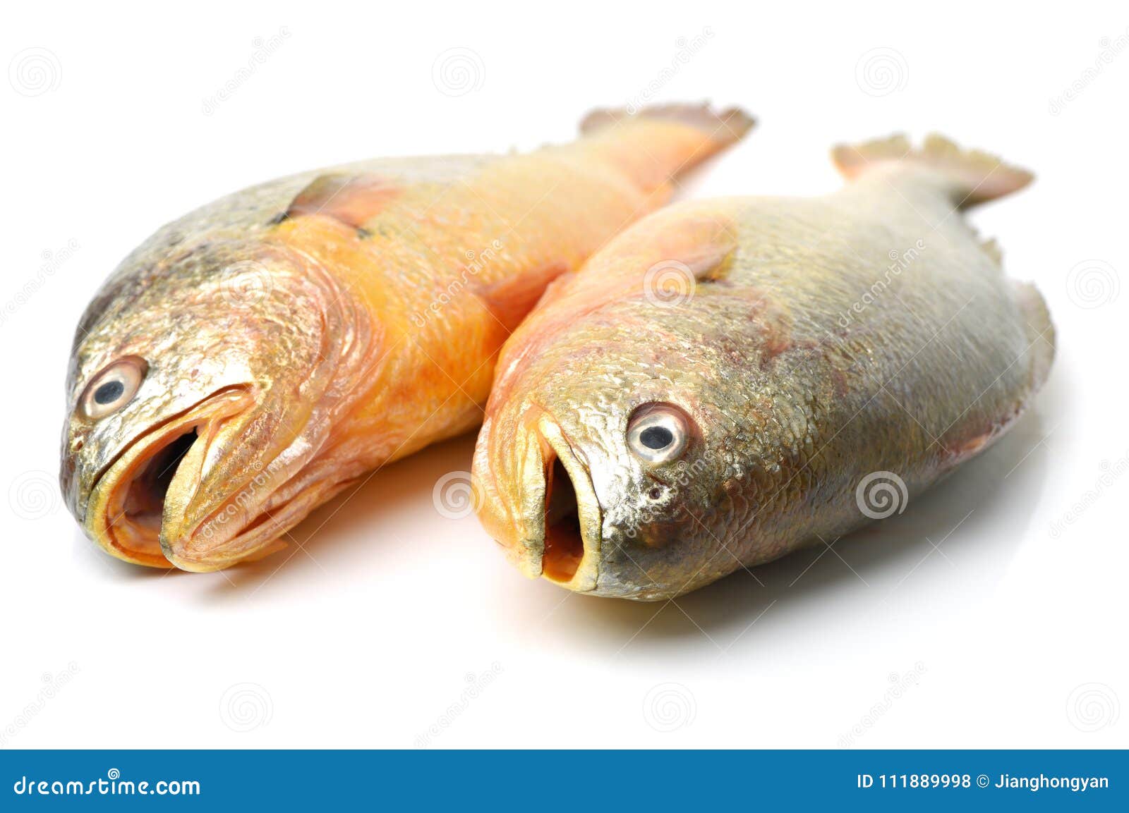 Yellow Croaker Fish stock photo. Image of fish, croaker - 111889998