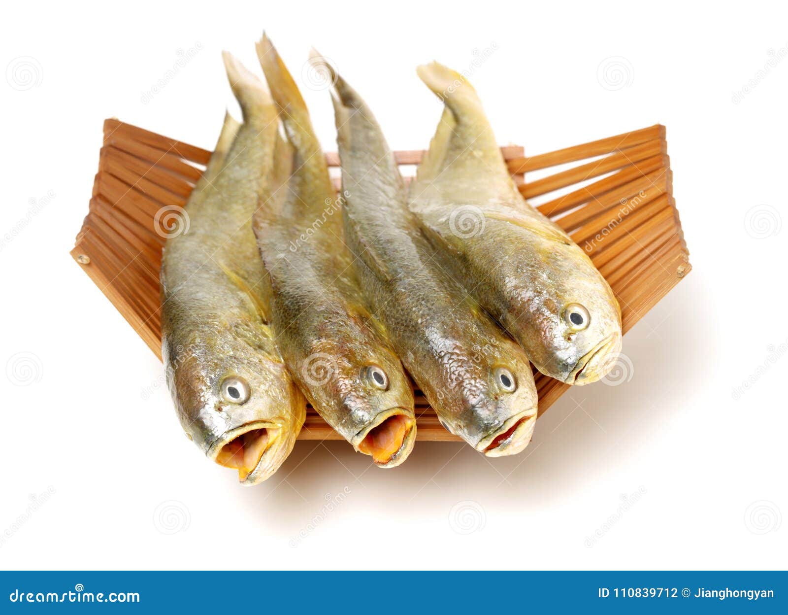 Yellow Croaker Fish stock photo. Image of white, asia - 110839712