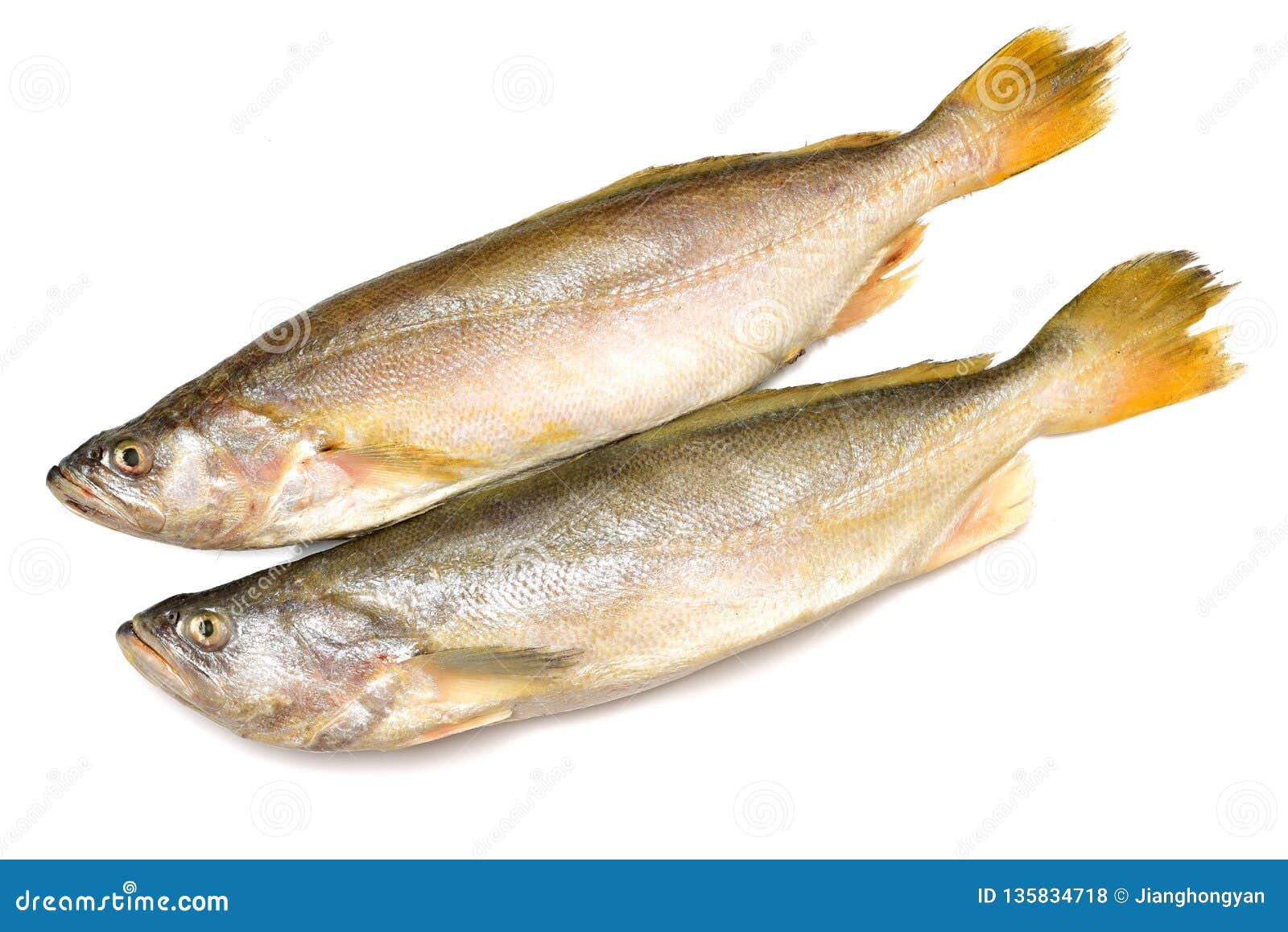 Yellow Croaker Fish stock photo. Image of eating, close - 135834718