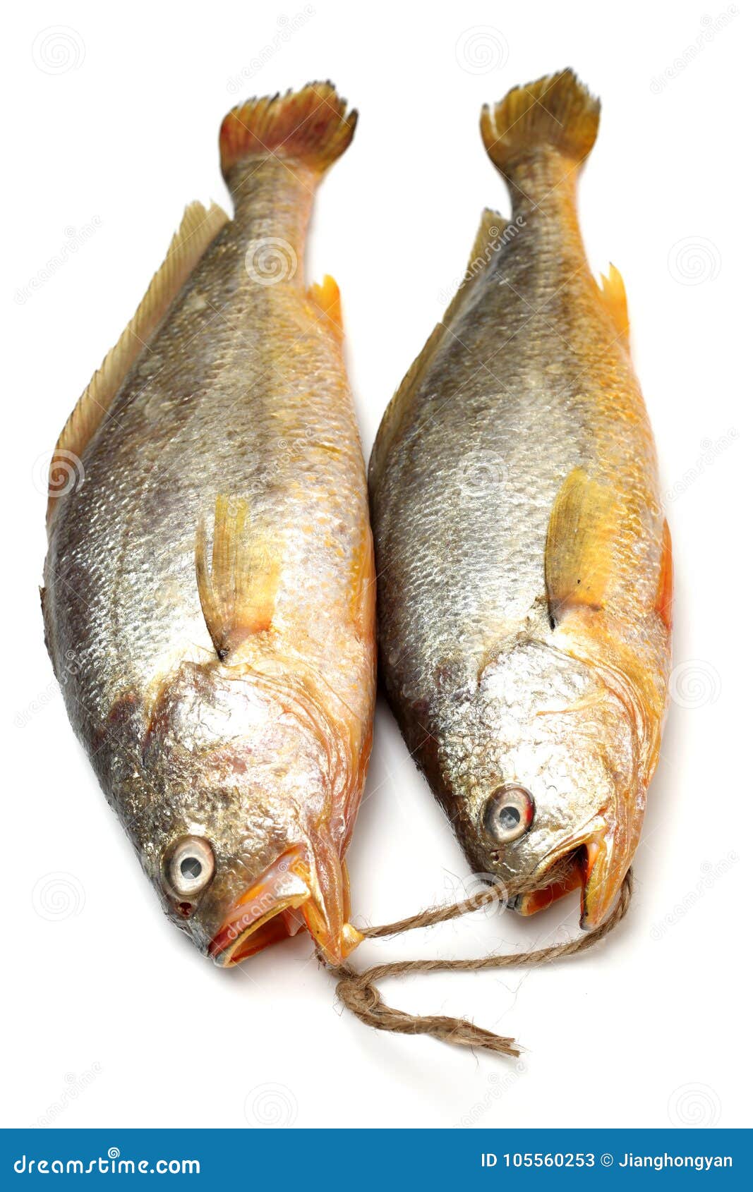 Yellow Croaker Fish stock image. Image of eating, gourmet - 105560253